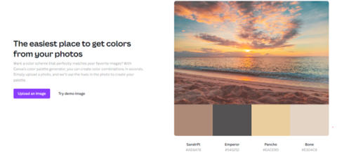 The Best Website Colour Schemes for Your Brand (With Examples)