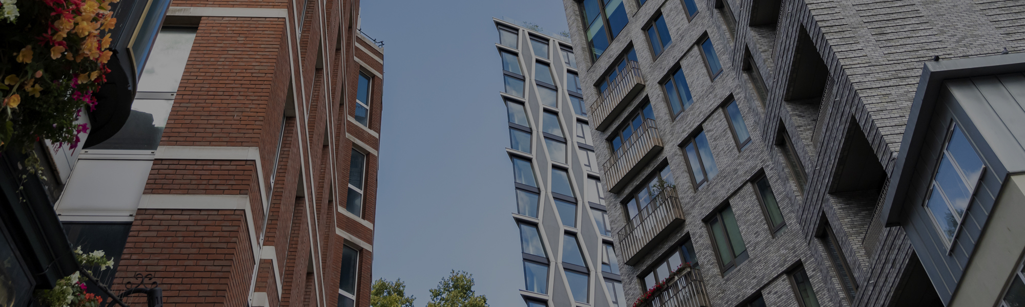 DM Hall | Success Story by LOCALiQ UK